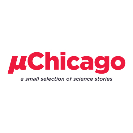 μChicago | UChicago Alumni & Friends